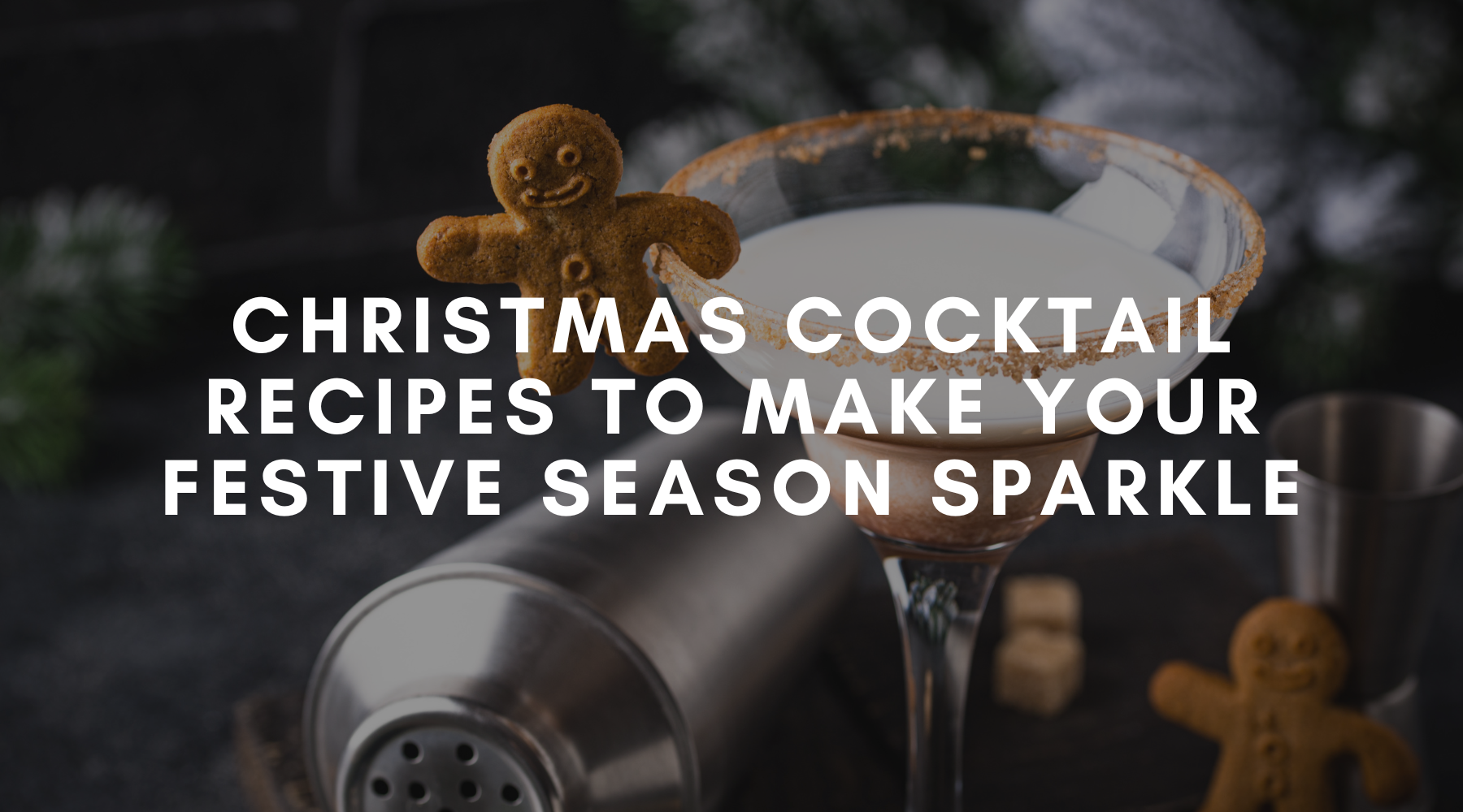 Christmas Cocktail Recipes to Make Your Festive Season Sparkle – Threshers
